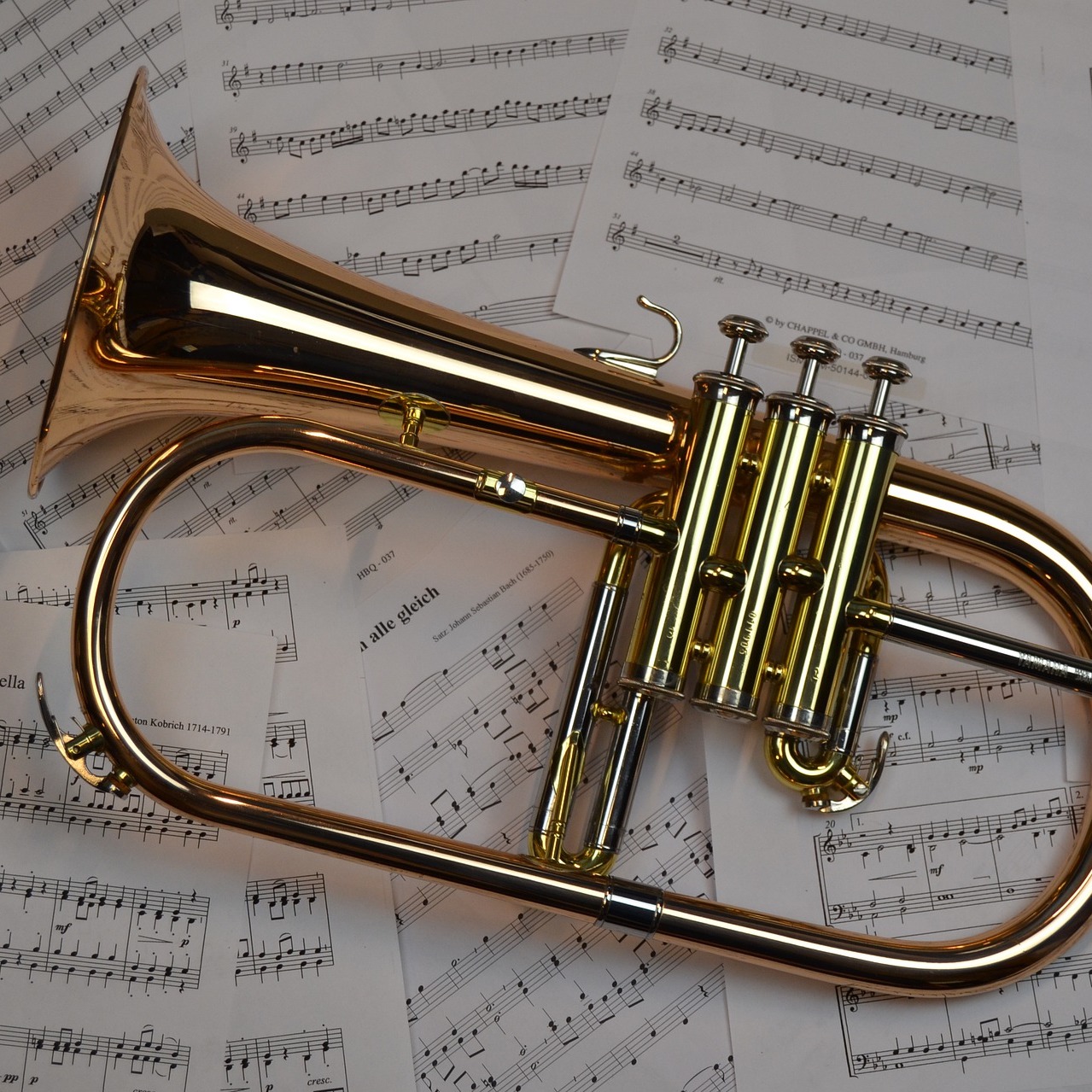 Tromba - Istituto Corelli - Scuola di Musica Pinerolo